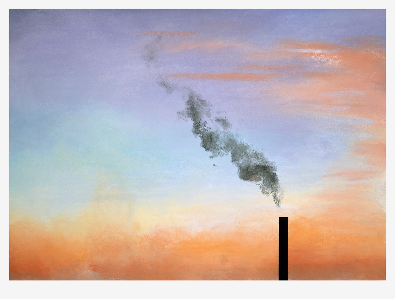 Sapar Contemporary New York: Phoebe Boswell "S - ll Life: A Taxonomy of ...